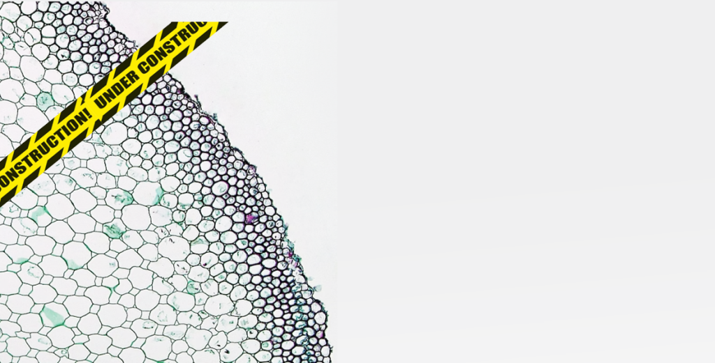 Cytometry – UF ICBR