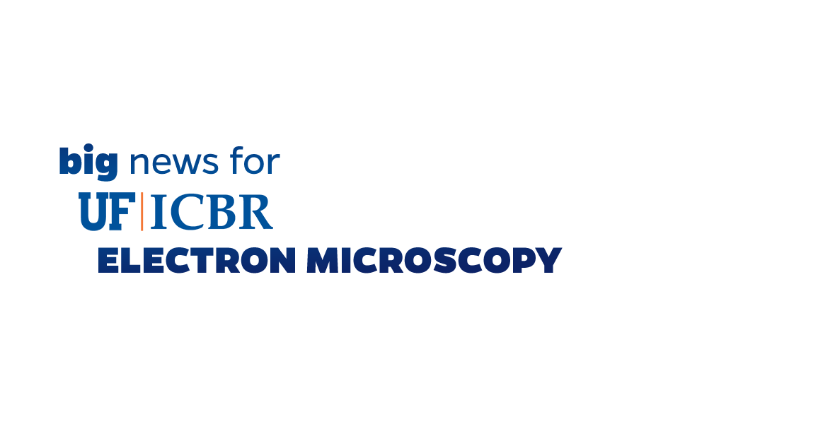UF ICBR – your pursuit is what drives us.