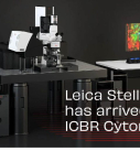 Cytometry – UF ICBR