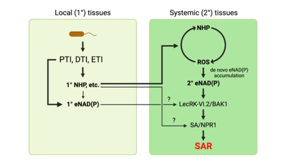 Bioinformatics – UF ICBR
